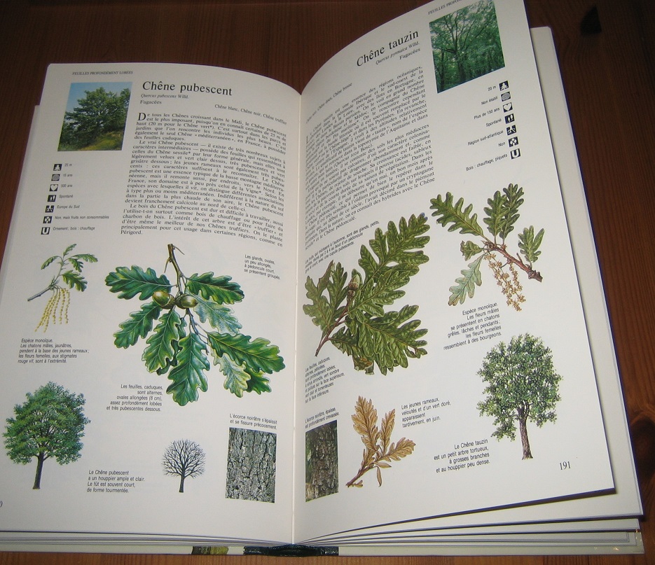 Guide des arbres et arbustes - livre d'occasion | loccasiondelire